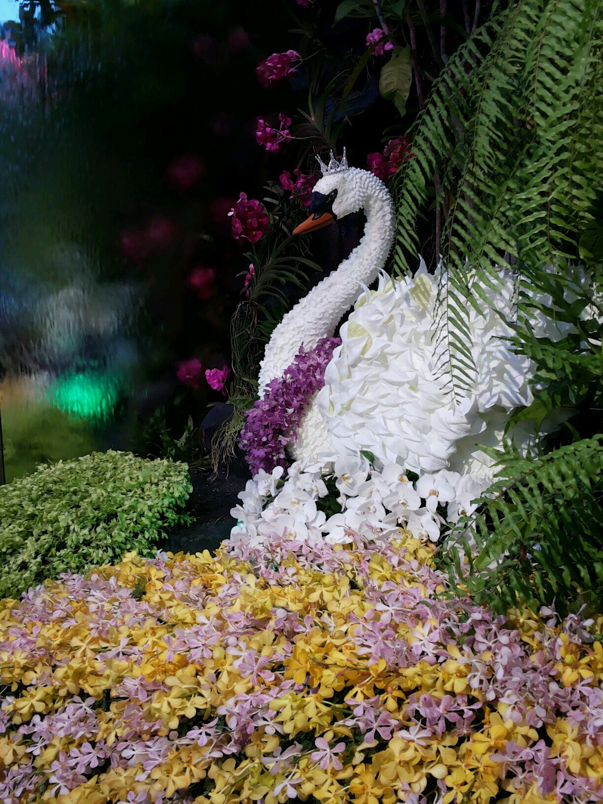 San (@san_wan) | Twitter