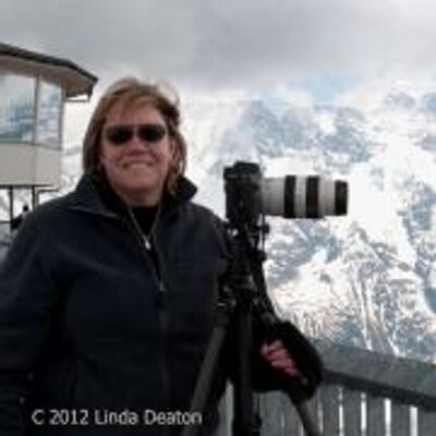 Lori Diemer (@LoriDiemer1) | Twitter