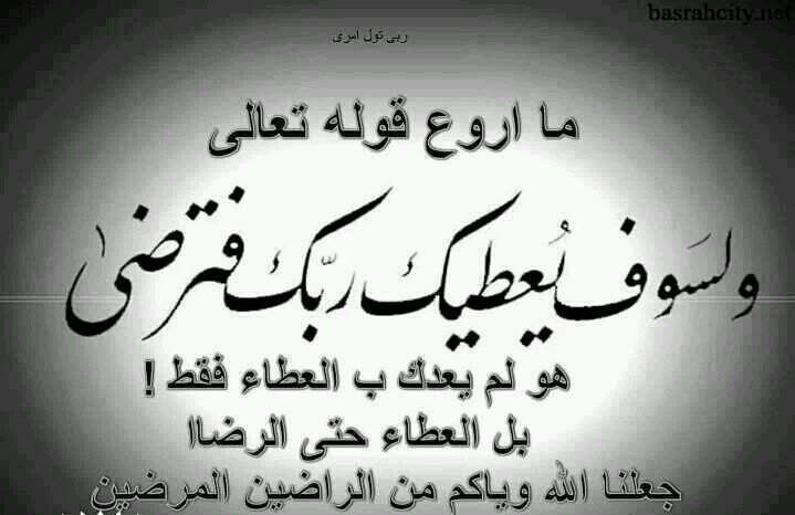 AMEL HASSEN (@AMELHASSEN1) | Twitter