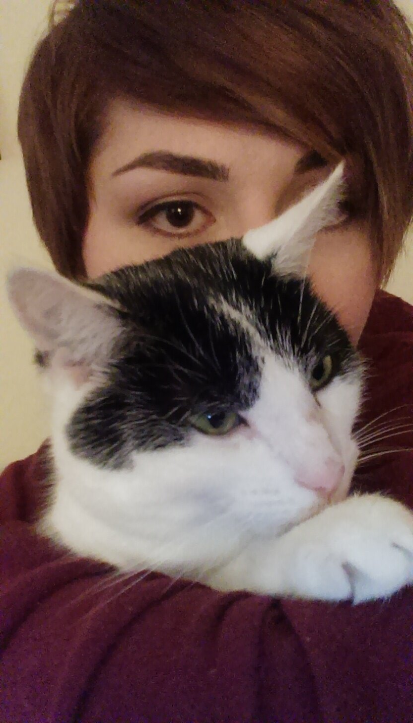 Amelia Macey (@amelia_macey) | Twitter