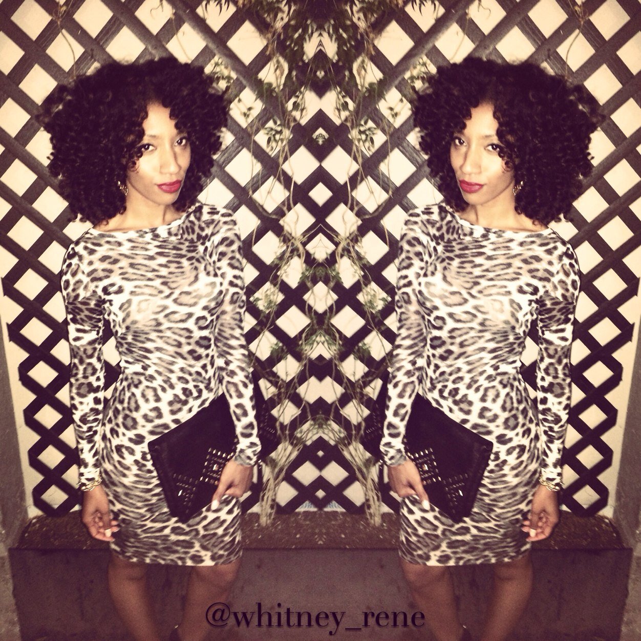 WhitneyRene (@Whitney_Rene) | Twitter