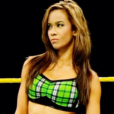 Aj Lee Twitter