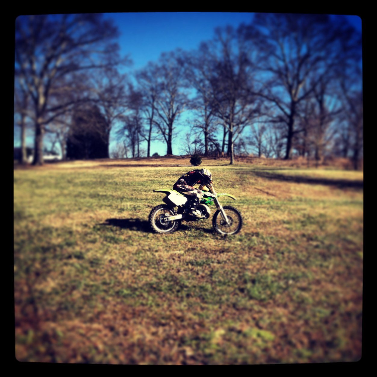 Dalton Stringer (@Dalton_Stringer) | Twitter