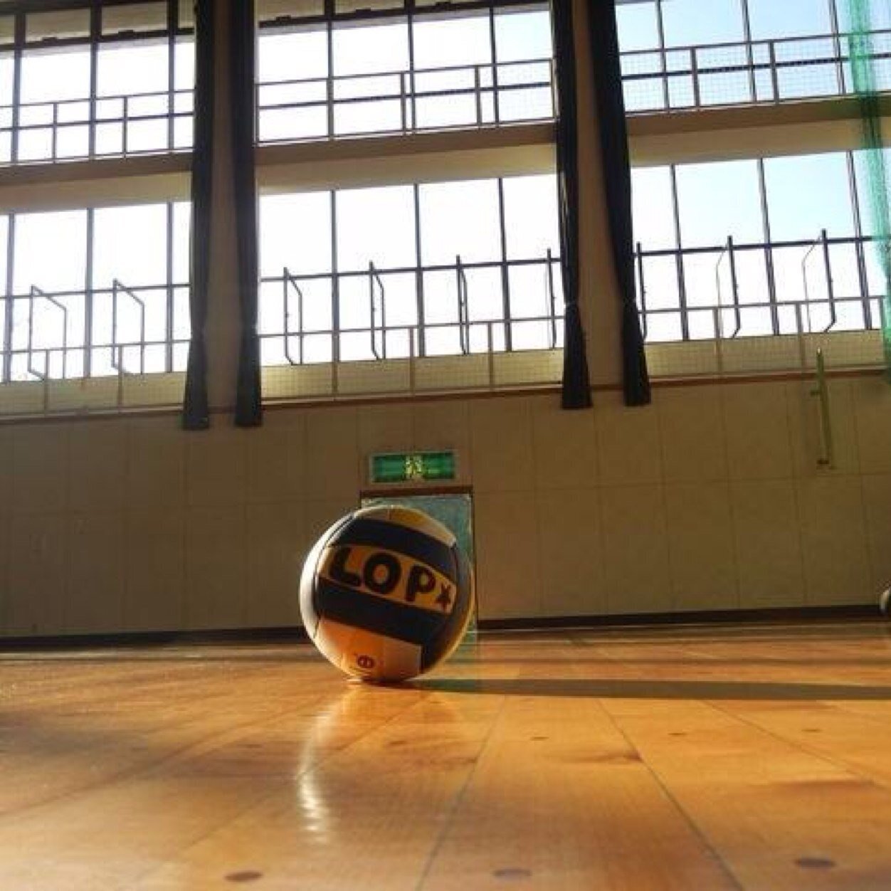 LOP. (@Looop_LOOOP) | Twitter