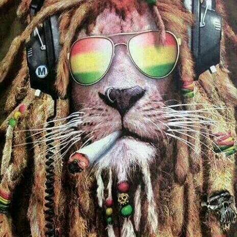 Imagen de leon rasta - Imagui