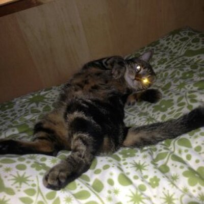 NOCO on Twitter: "C95新刊、メロンブックスさんで予約開始しました。 ①「𝐁𝐎𝐍𝐃𝐀𝐆𝐄」 ボンテージ＆束縛がテーマのオリジナルイラスト集 https://t.co ...