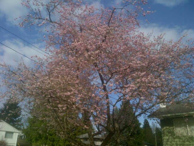 Jackie Devore (@1862Devore) | Twitter