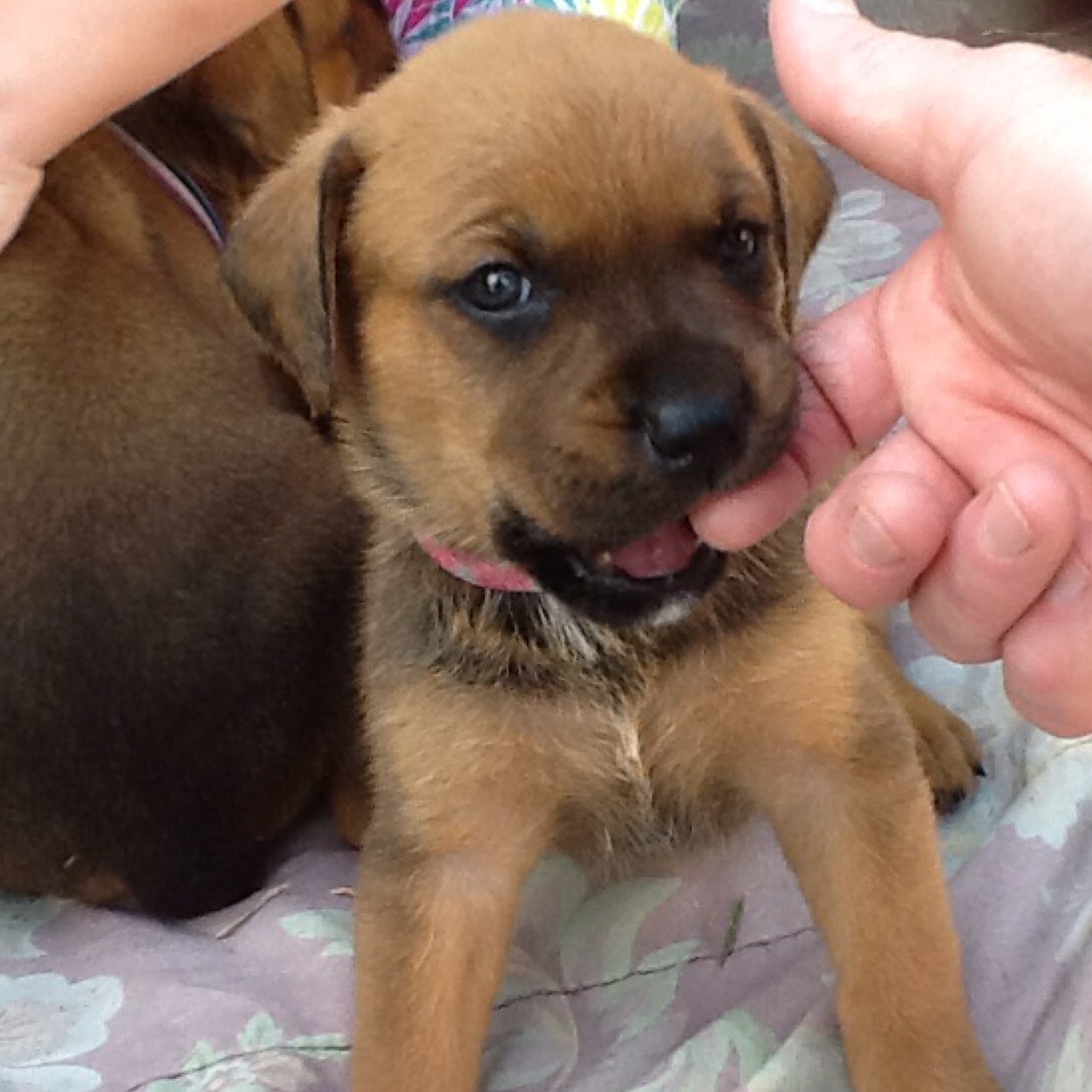 Caleb sheets (@itscalebsheets) | Twitter