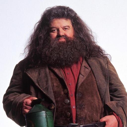 Rubeus Hagrid ~ Detailed Information | Photos | Videos