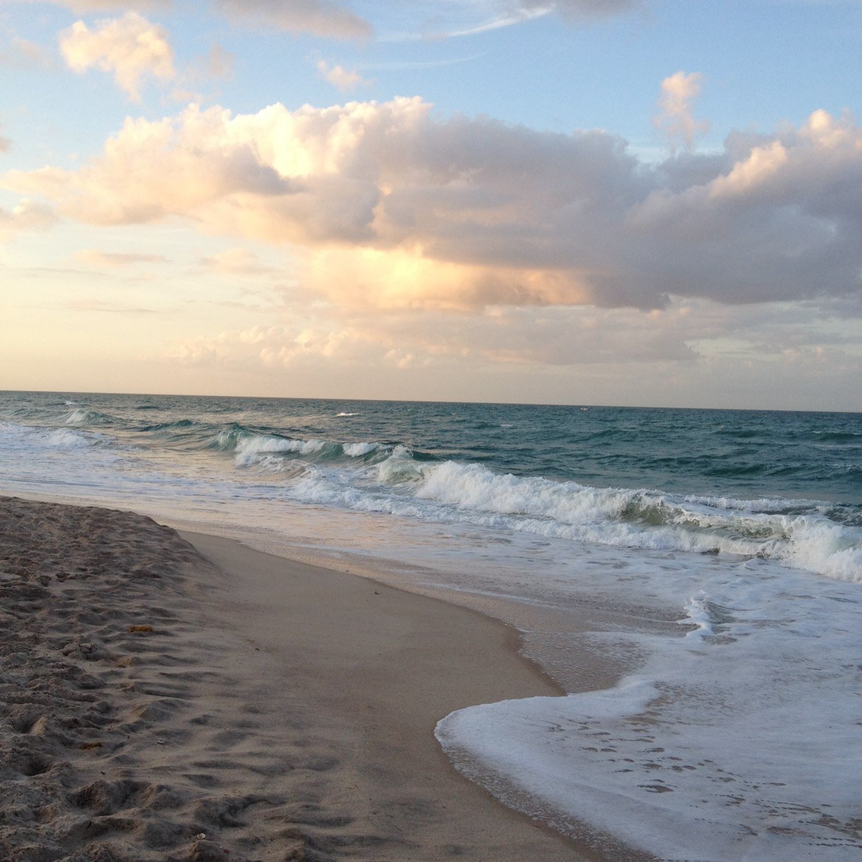 Harry Walker (@hcwalker16) | Twitter