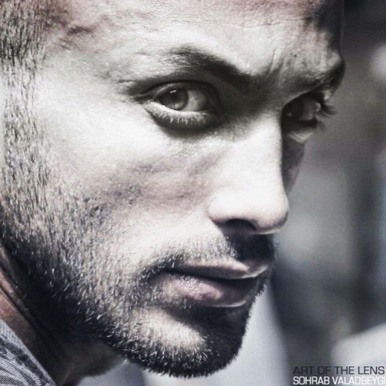 mehdi hedayati (@mehdi_hedi) | Twitter