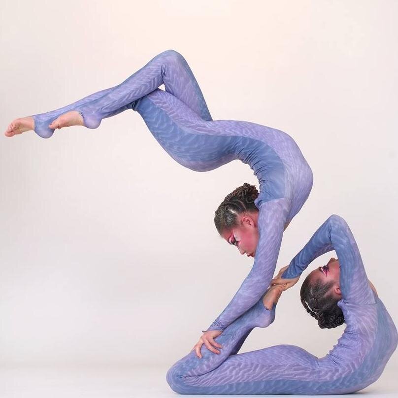 Contortion Meaning
