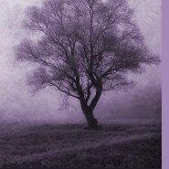 Thoth Study Group (@ThothStudyGroup) | Twitter