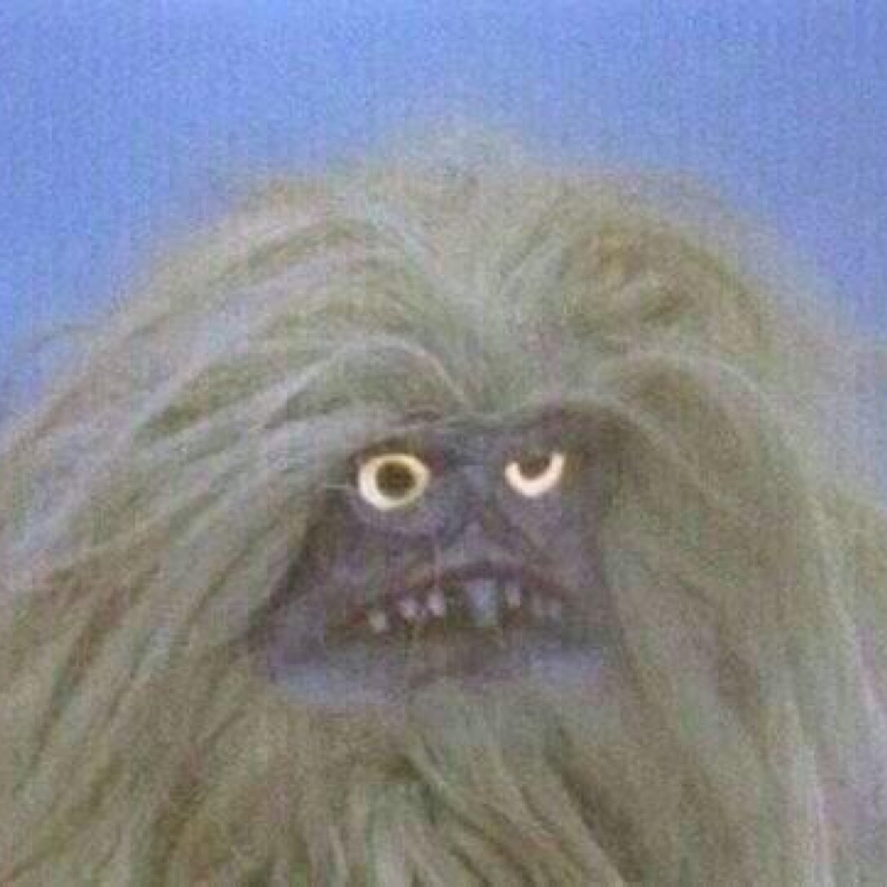 Why is this fuzzy guy on Twitter so popular and what is his origin? : r ...