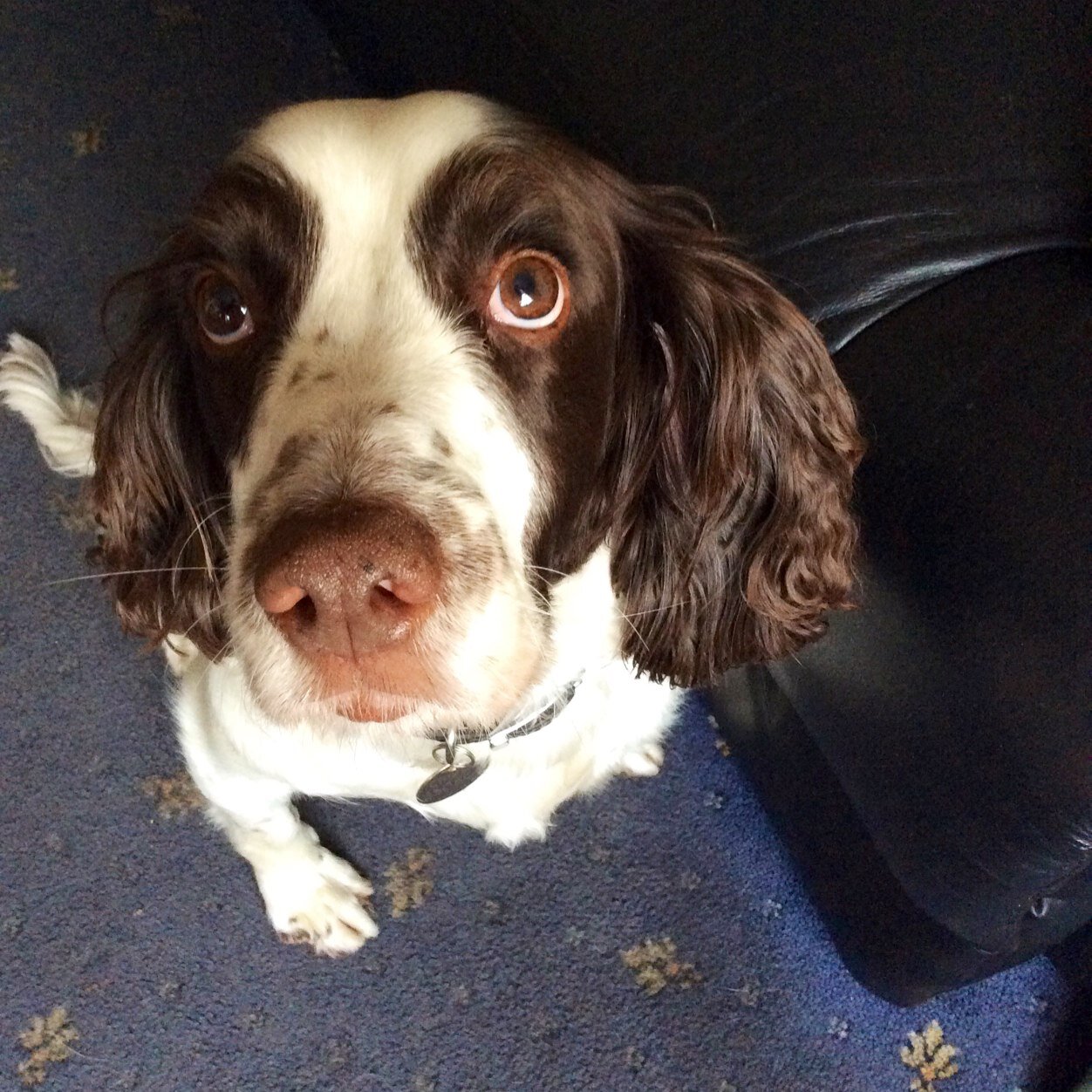 Tara Jepson (@TaraJepson) | Twitter