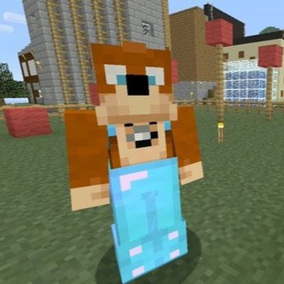 What Does L For Lee Look Like In Real Life Minecraft