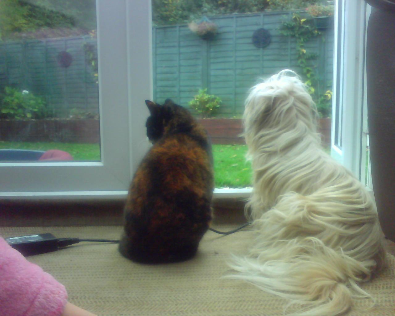 siobhan richards (@xssiobhanx) | Twitter siobhan richards (@xssiobhanx) | Twitter