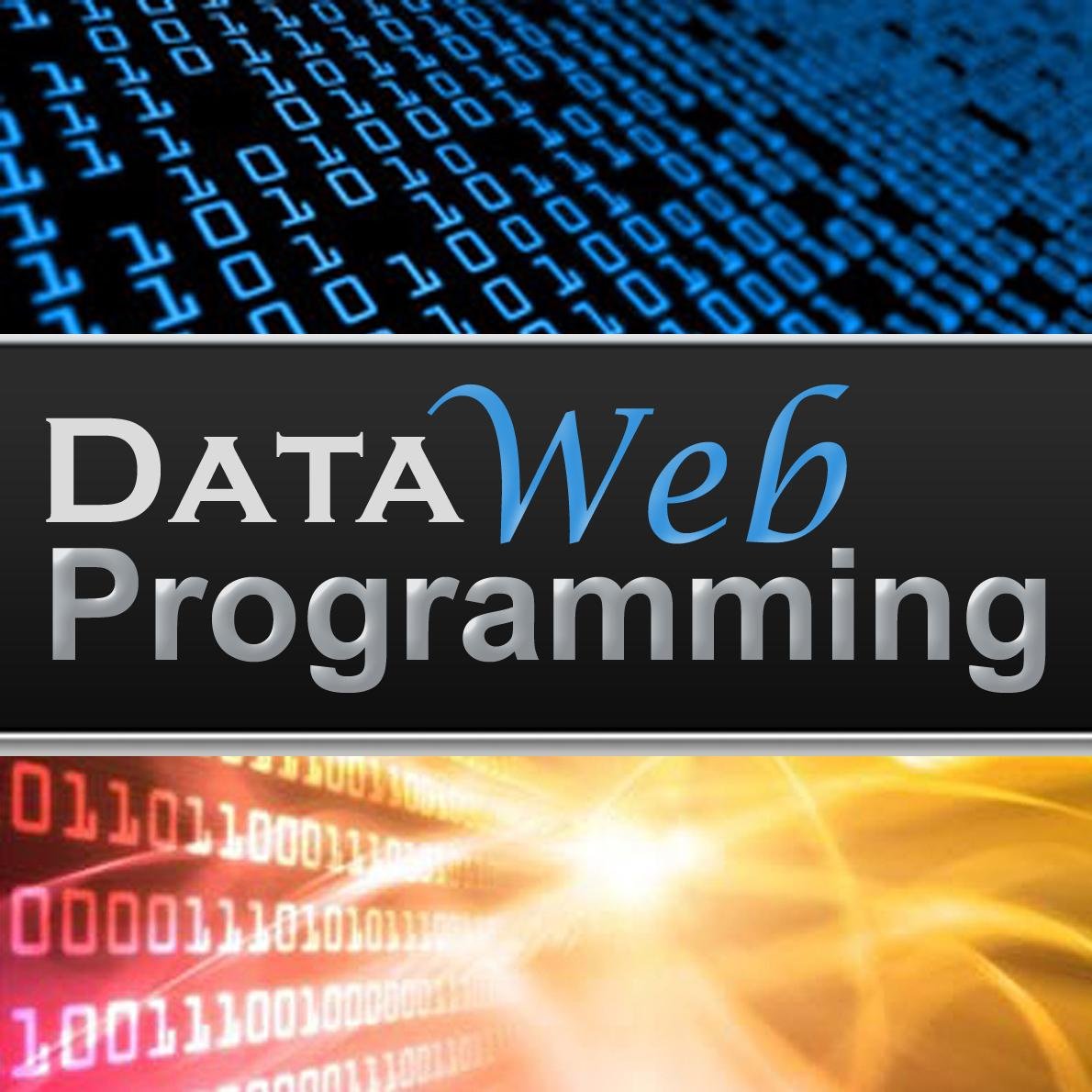Dataweb Programming Datawebp Twitter