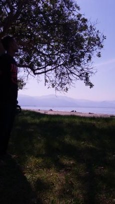 joko malis (@jokomalis69) | Twitter