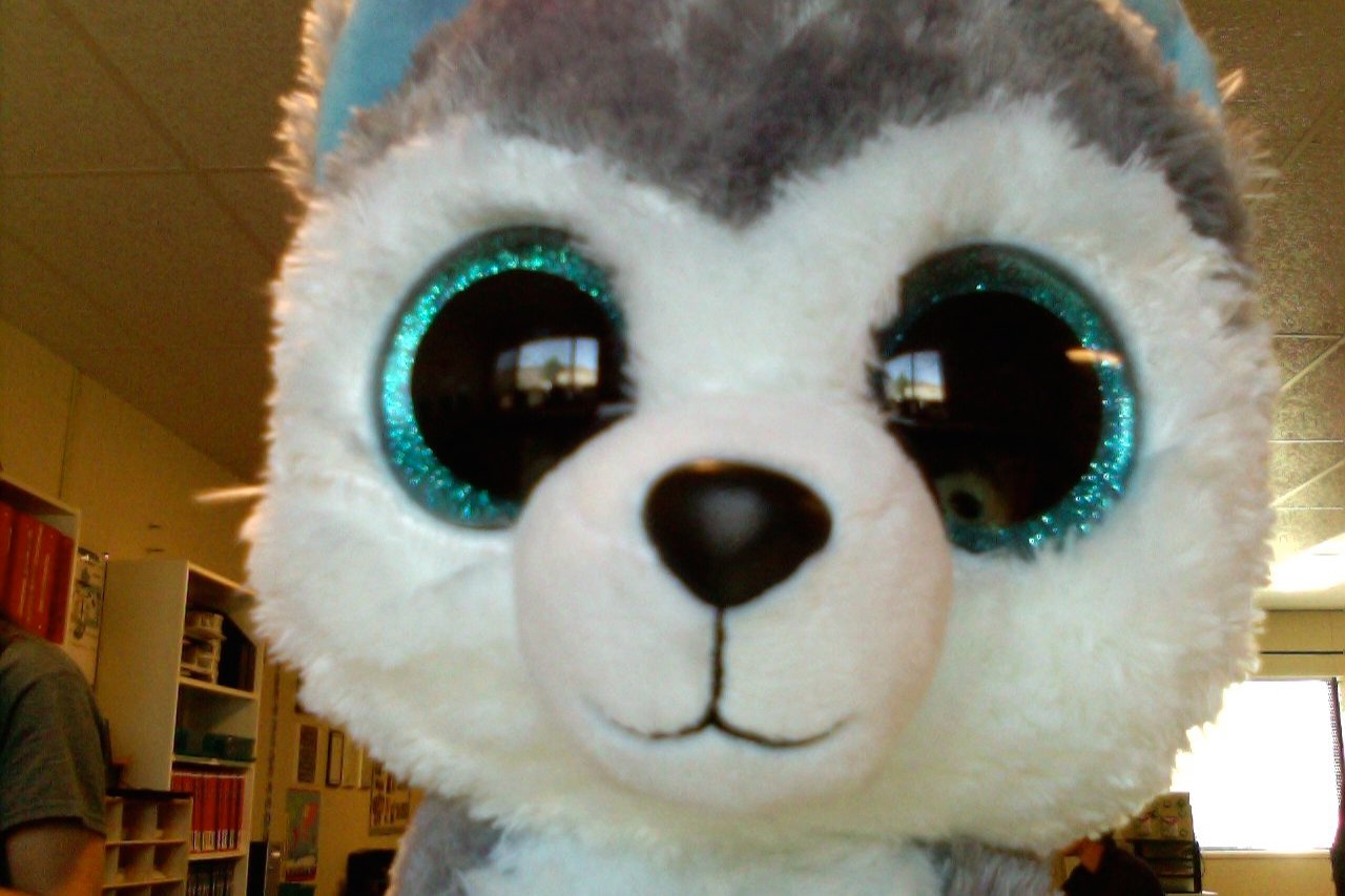 Wolf Pack Report (@wolfpackreport) | Twitter