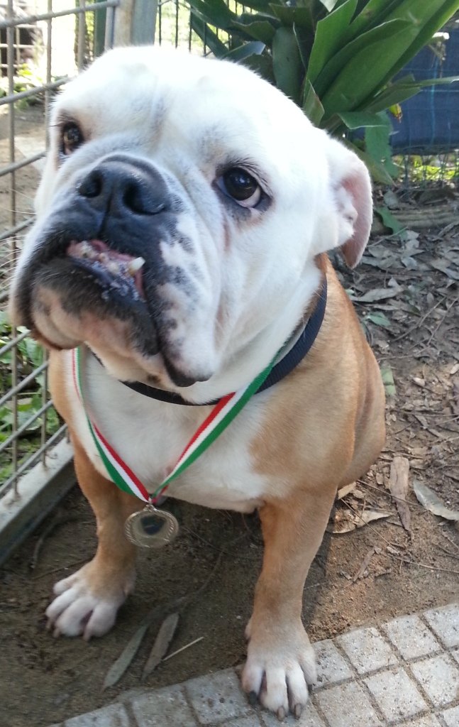 Con_Comodo (@Con_Comodo) | Twitter