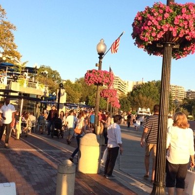 Deema Alyousef (@deemaalyousef) | Twitter