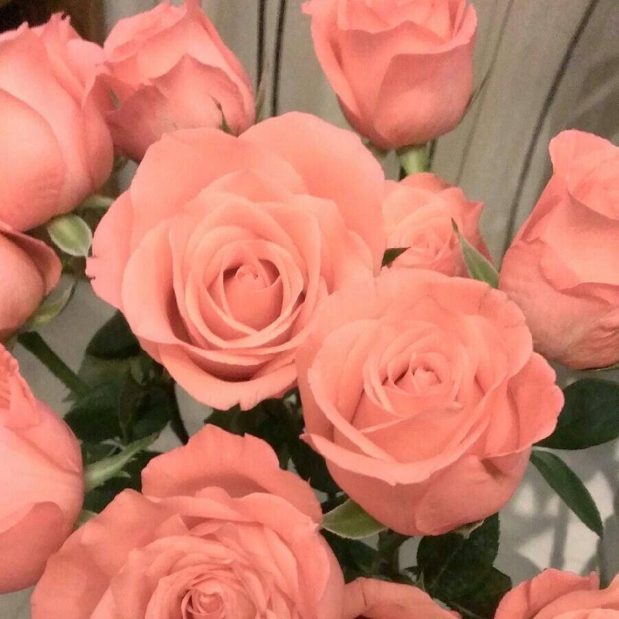 Yaning Wang (@yaningwang) | Twitter