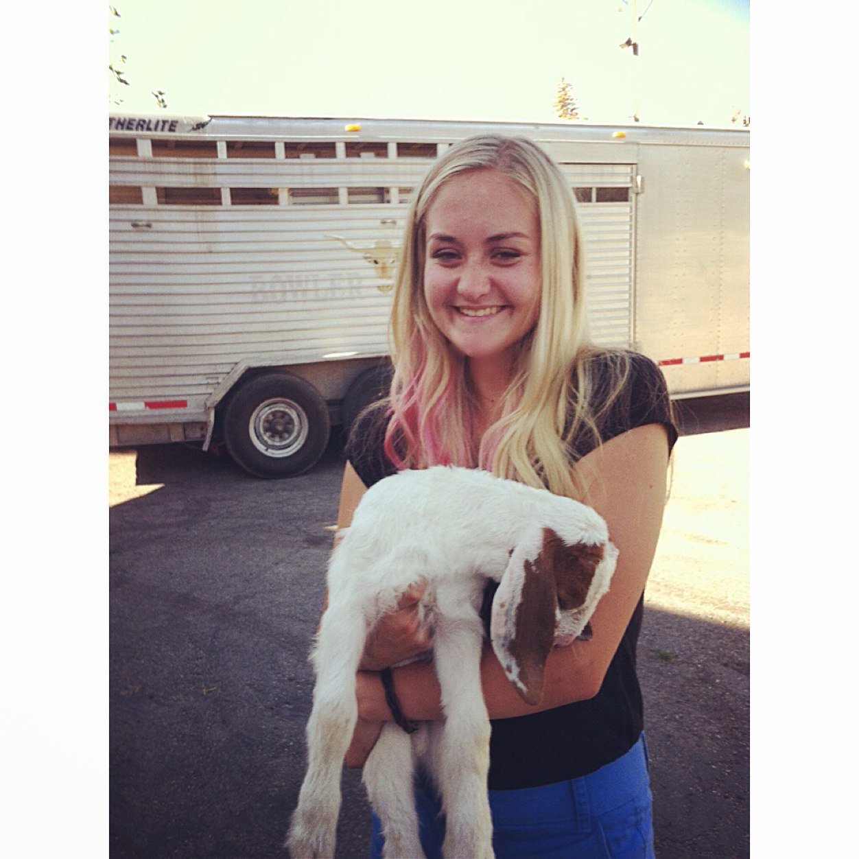 Kylee Sorensen (@sorensen_kylee) | Twitter