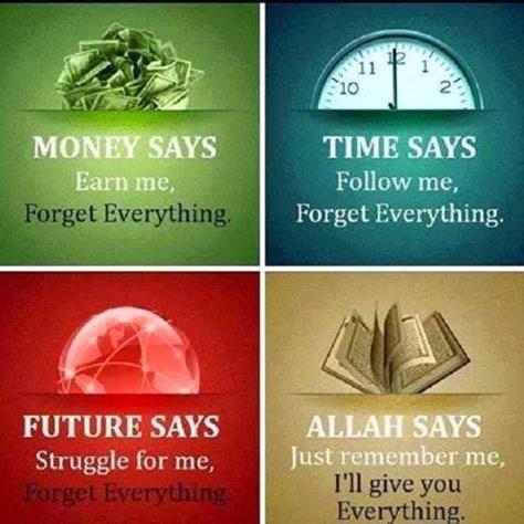 Marriam Mateen (@MarriamMateen) | Twitter