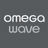 Omegawave: Assess - Analyse - Improve