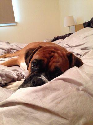 Jonathan Raby (@doctorjonty) | Twitter