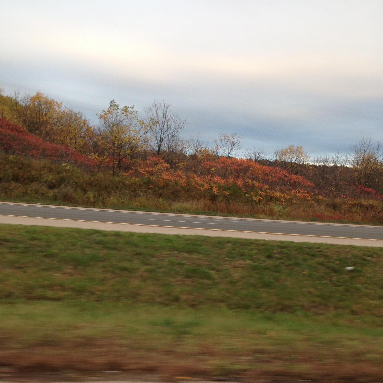 Sheeba Mathew (@SheebaMathew8) | Twitter