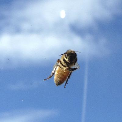 Roz Samimi (@roz_samimi) / Twitter