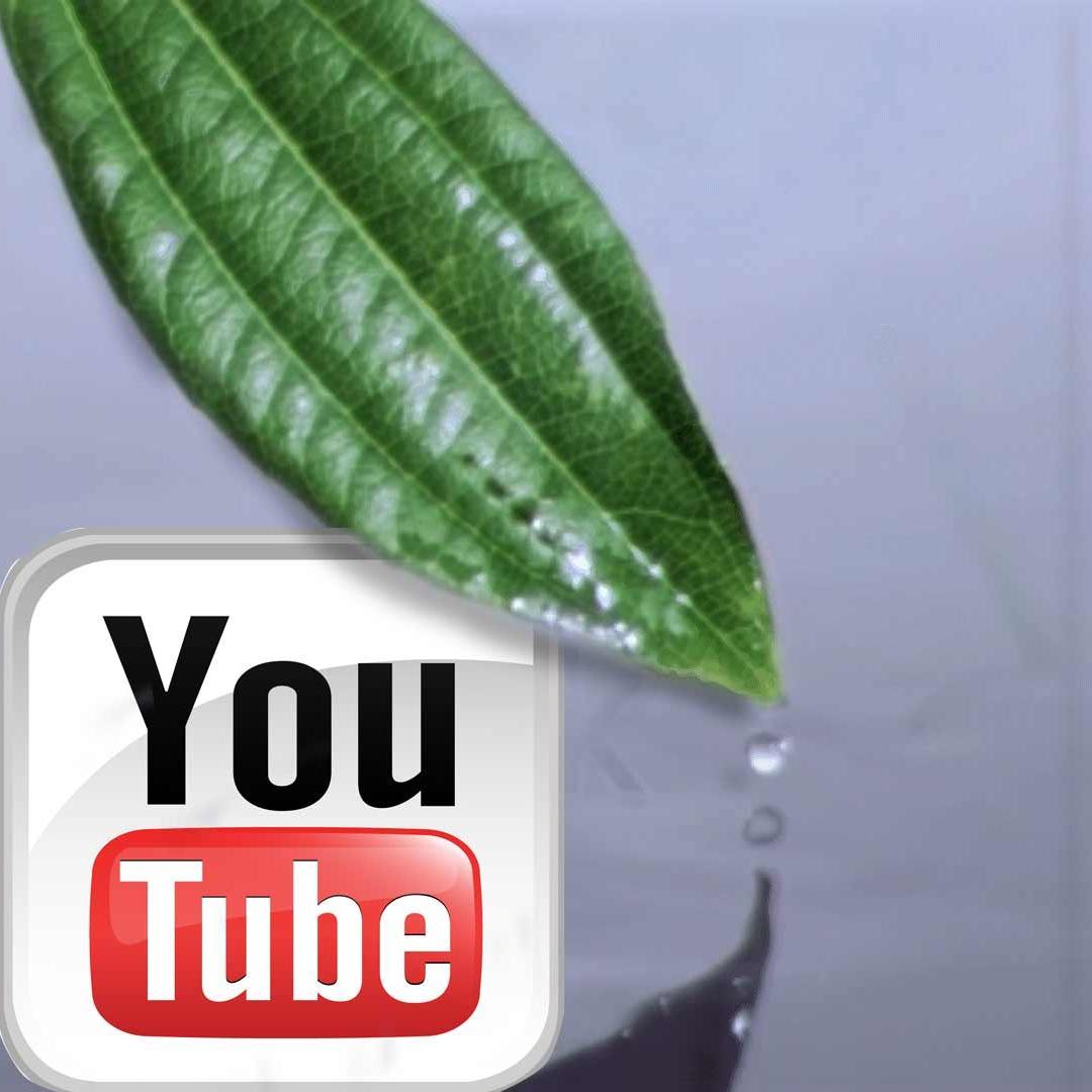 Jonathan Holeton (@Youtube_2B_Well) | Twitter