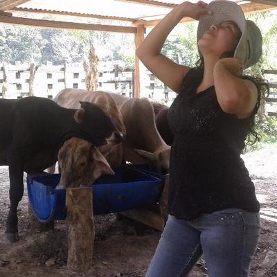 alizon (@fer_alizon) | Twitter