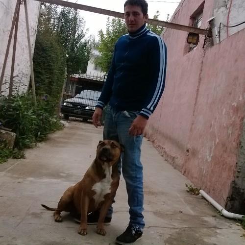 Gston (@gaston_dragui) | Twitter Gston (@gaston_dragui) | Twitter