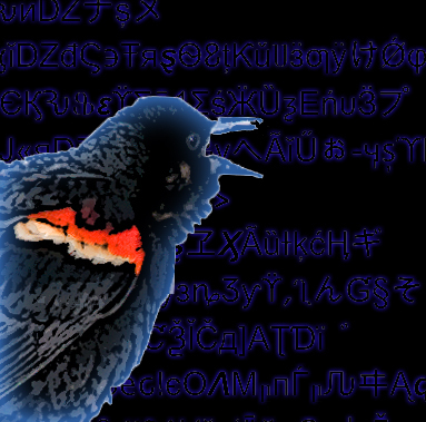 Anonymous (@cryptobird) | Twitter