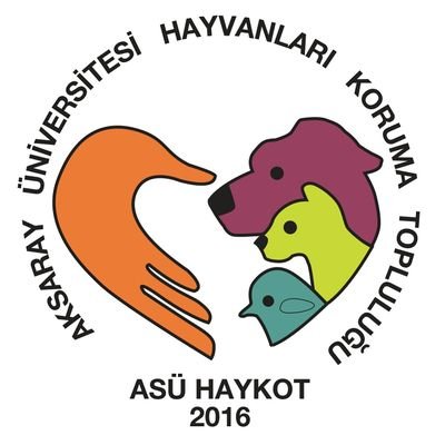 ASÜ HAYKOT (@AsuHaykot) | Twitter