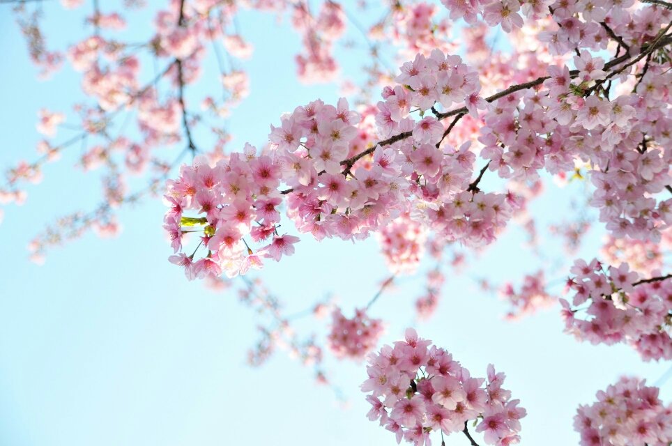 Mina amin (@Mina_SA_amiN) | Twitter