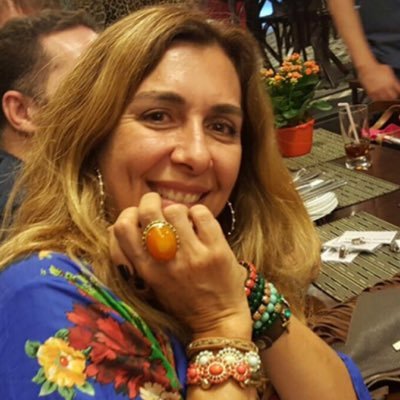 Sheila Guerra Murta (@sheilagmurta) | Twitter