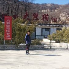 Fang Yuwei (@Fang_Yuwei) | Twitter