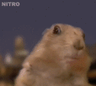 Funny Dramatic Chipmunk