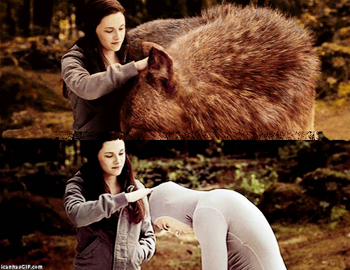 Jacob Black Wolf Gif