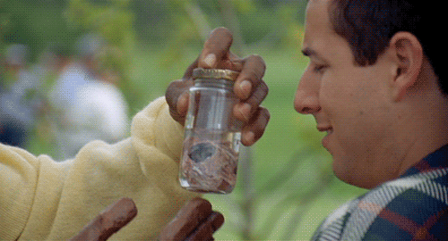 Happy Gilmore Alligator Chubbs