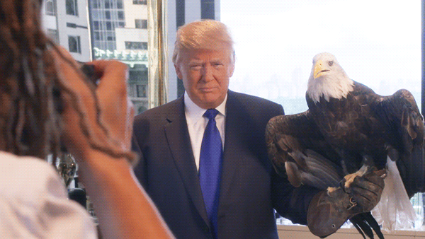 “Donald Trump is an icon, and this bald eagle is an icon” | Scoopnest