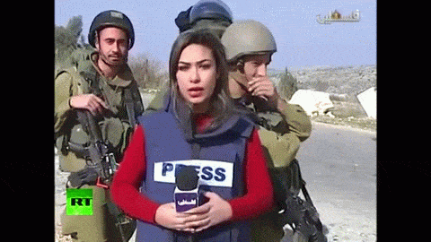 IDF soldiers troll Palestinian reporter live report on 'Israel's racist ...