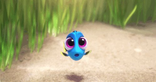 Short Term Memory Dory
