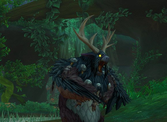 Night Elf Moonkin