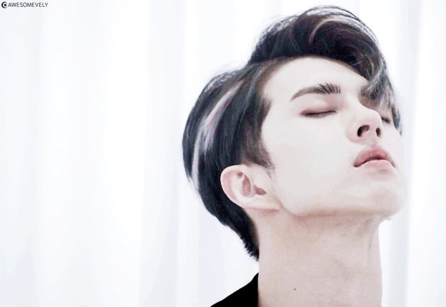 Vixx Ken Nose