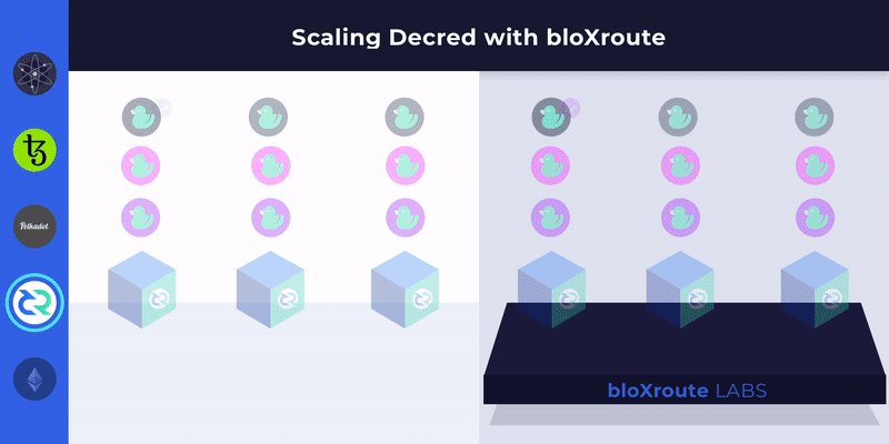 bloXroute Labs on Twitter: "In the @decredproject system each block must be mined and ratified ...